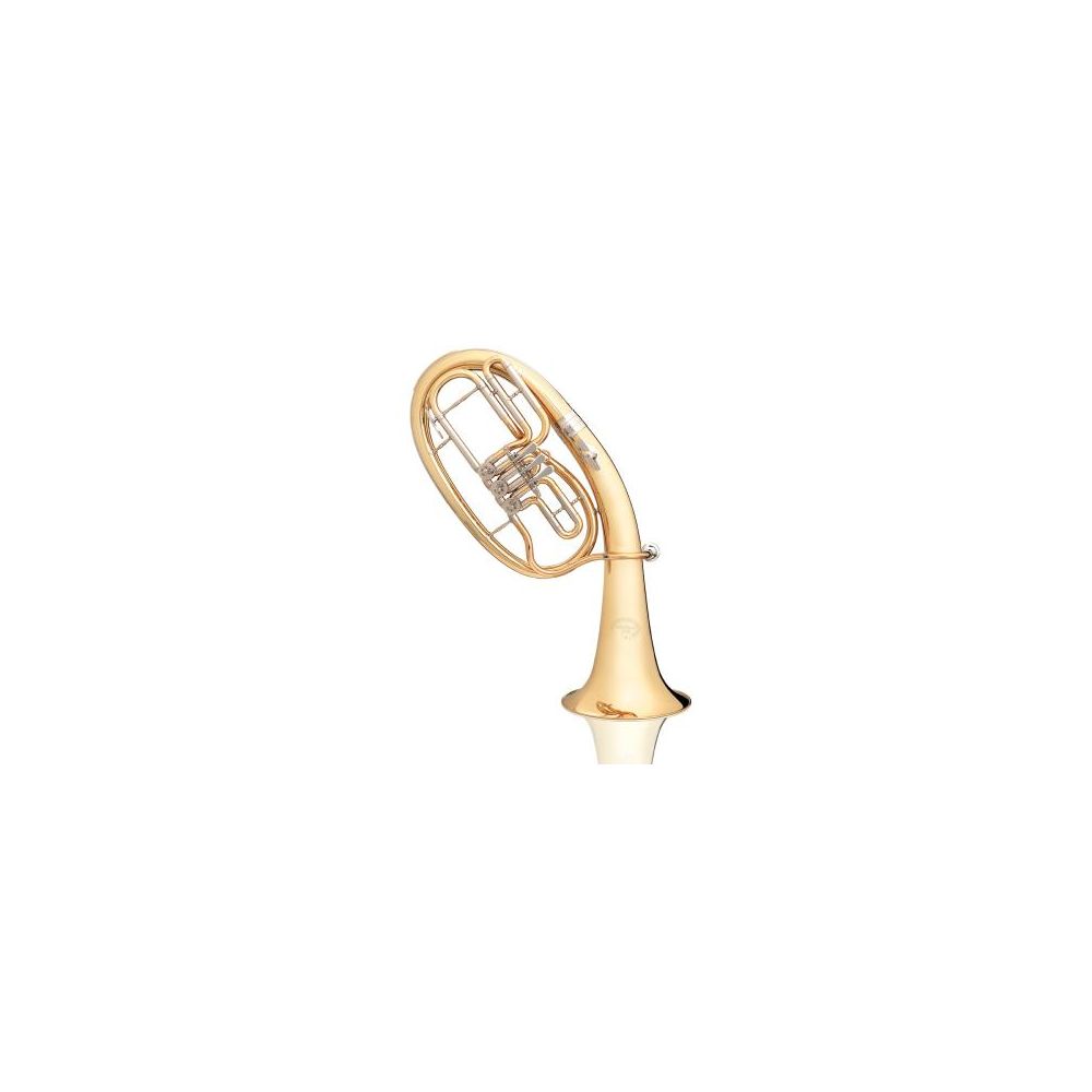 B&S 3032/2 L in B Tenorhorn, Goldmessing lackiert