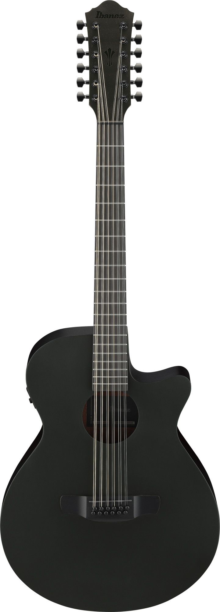 Ibanez AEG1221-BOT 12-snarige akoestische gitaar Black Out